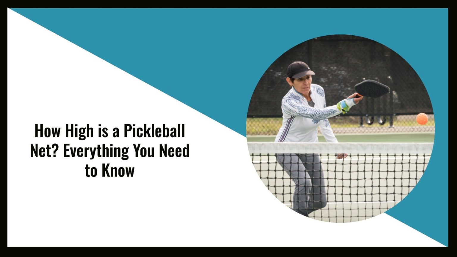 How High is a Pickleball Net? Everything You Need to Know - Pickleballify