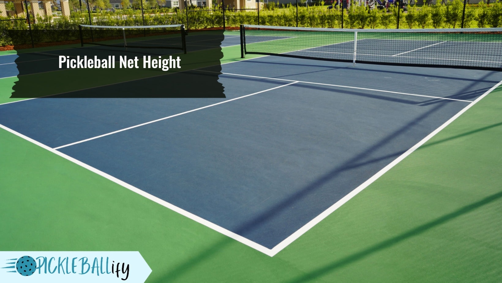How High is a Pickleball Net? Everything You Need to Know - Pickleballify